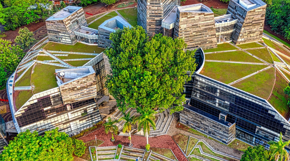 SDGS – Sustainability at UI